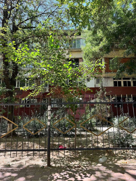Продается 3 Комнатная Квартира на Ц2 (Алайский) под Коммерцию (2806)