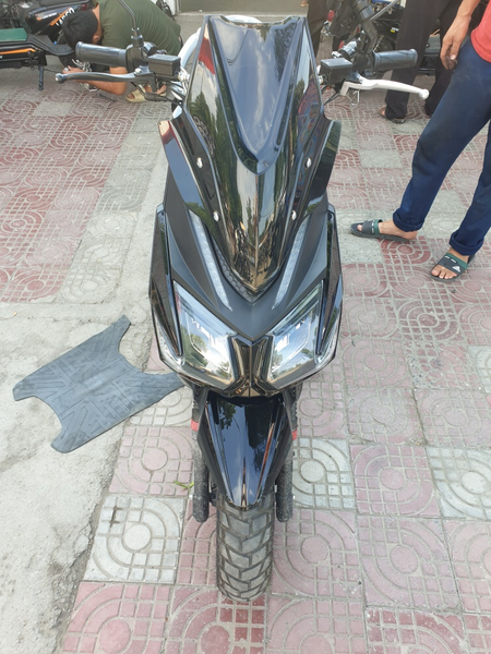 Drongo ninja 2024