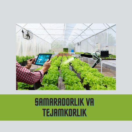 Issiq xona maslahatchisi