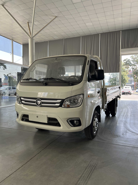 FOTON Truck Мate 2