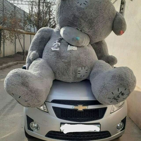 Teddy Teddi va Boshqa Xar Hil Yumshoq O'yinchoqlar