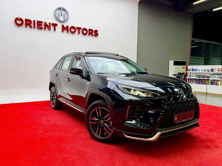 Toyota Wildlander Rav4 2.5L PHEV 2WD High Performance