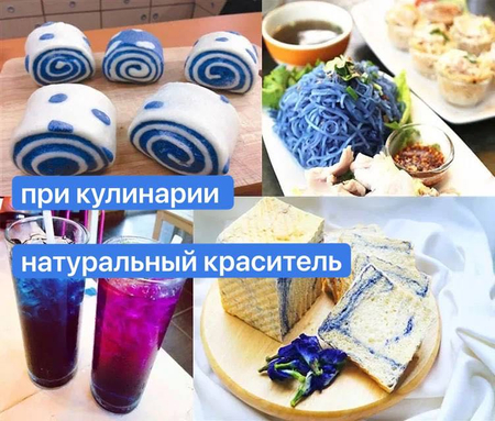 синий чай анчан «клитория тройчатая»