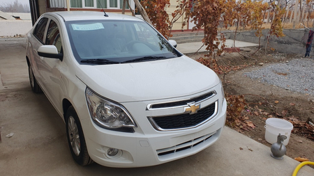 Yangi cobalt 2024