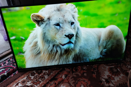 Artel 43 Tv+Kranshteyn Xolati Zo'r BezSmart  model 43Af90g