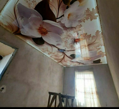 Паталокуз наежной