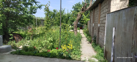 Продаётся ДАЧА в ЧИРЧИКЕ.4 сотки