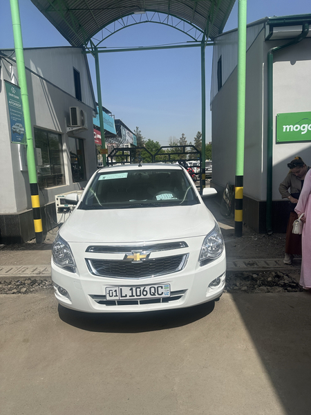 Cobalt yengi 2024