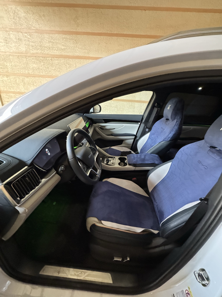 BYD чемпион