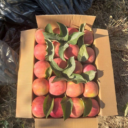 Korobka Uzum, Weldberries, Kargo tovarlariga konteyner, yashik, qop,