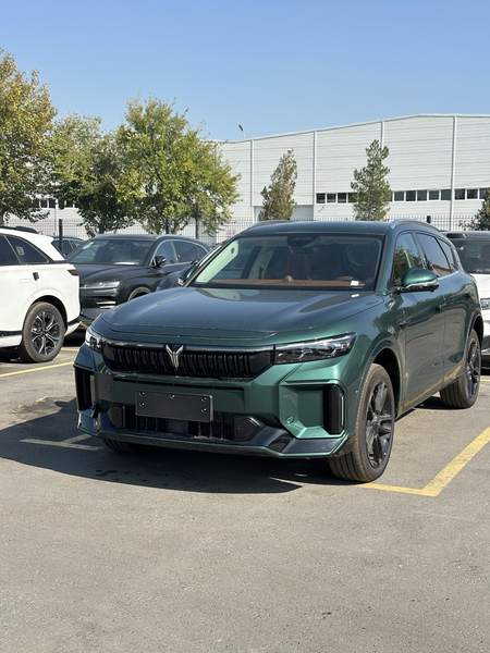 VOYAH Free 2024 Full Option Hybrid