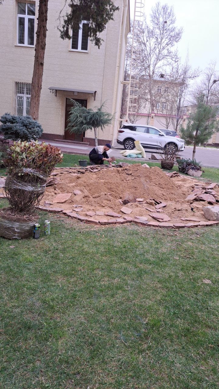 Gazon va ladshafd va afto palif undan tashqari vadapat