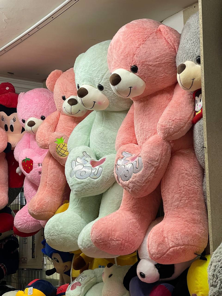 Teddy ayiqlari va yumshoq oyinchoqlar