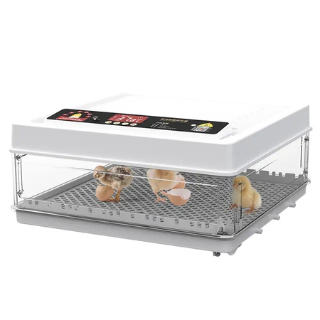 Inkubator 130 talik xitoy