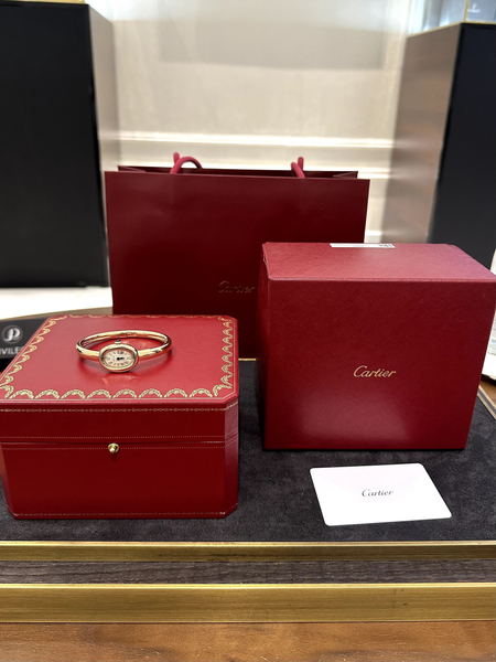 NEW Cartier Baignoire de Cartier WGBA0036