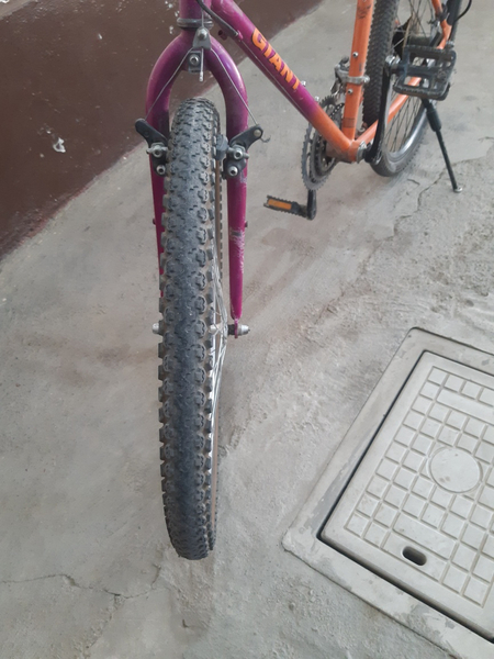 26 velasaped giant germaniski