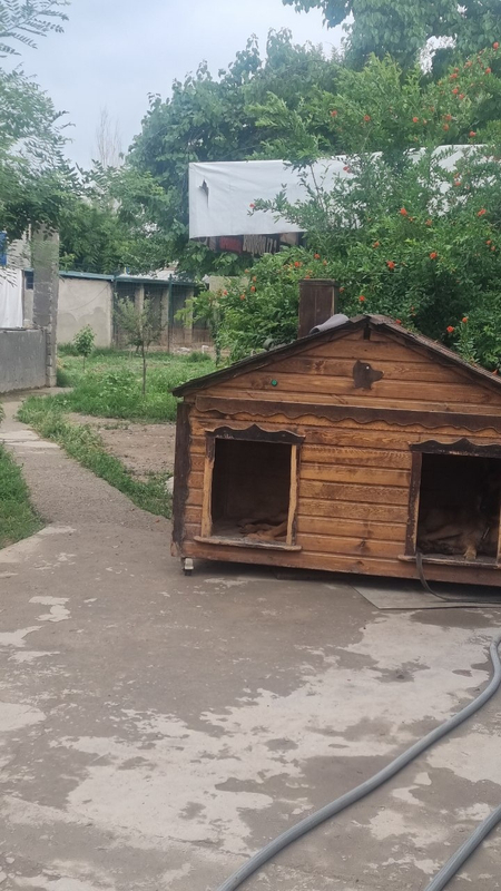 Зоогастиница для вашего питомца