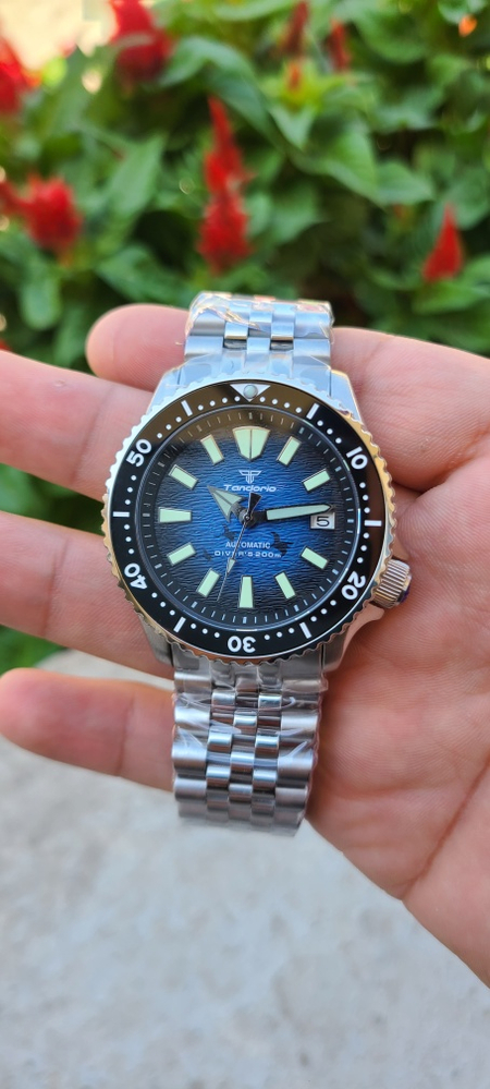 Tandorio Watch brend Automatic Japan NH35A seiko mexanizm. Safffer stk