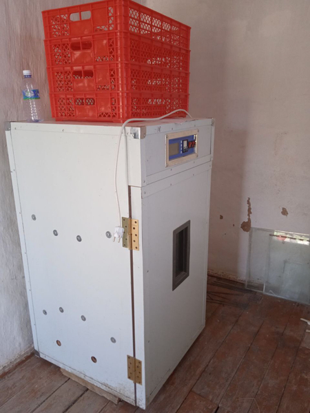 Инкубатр сотилади 220W