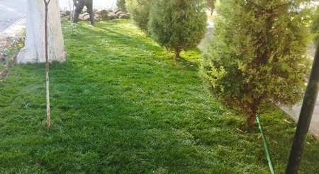 zof agro services