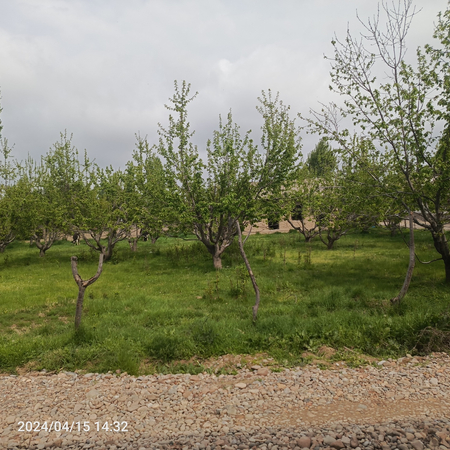 Ikki bolib berishga belishamiz kelib korib gaplashiladi  toshkent
