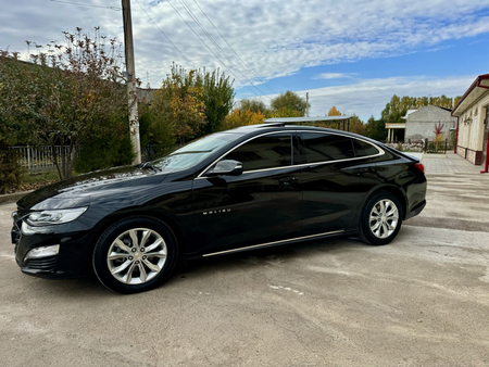 Malibu 2 Premier 2023 tozza