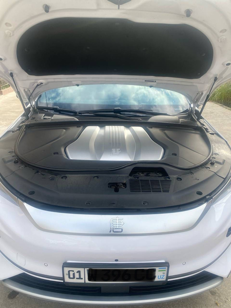 BYD Tang EV 2 wd 730 km