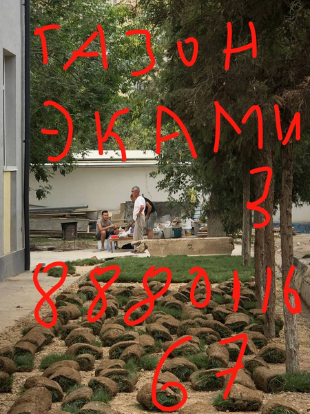 Газон экамиз ишончли гарантияси бор