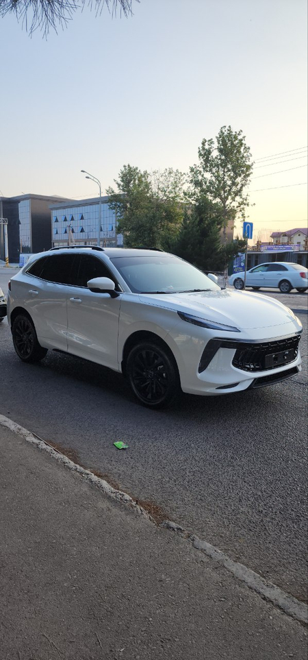 Rentcar 24/7 avto arenda DONGFENG
