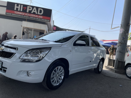 Srochna Cobalt avtomat 2022