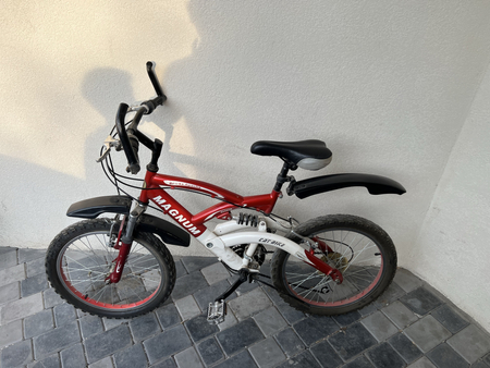 Велосипед Magnum catbike разм. 20’