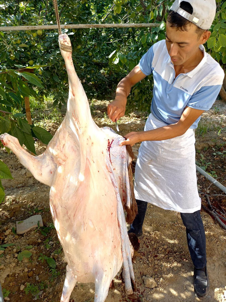 Qassob xizmatimiz Toshkent shahri bõylab