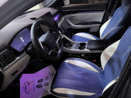Byd champion edition 605km 2023 probegi 12.000