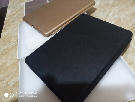 iPad air 2 smart case