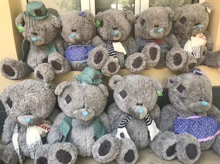 Teddy Teddi 1+1 Eng Arzon Narxlarda