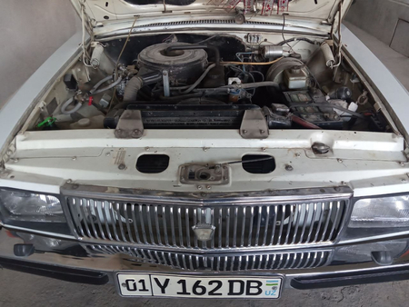Volga 3102 akula