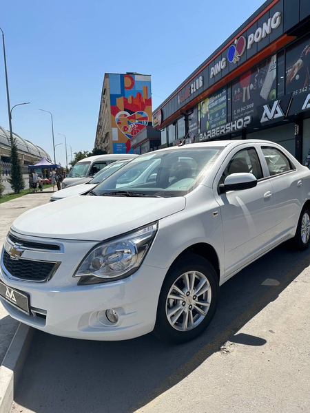 COBALT OQ 2023 yılı