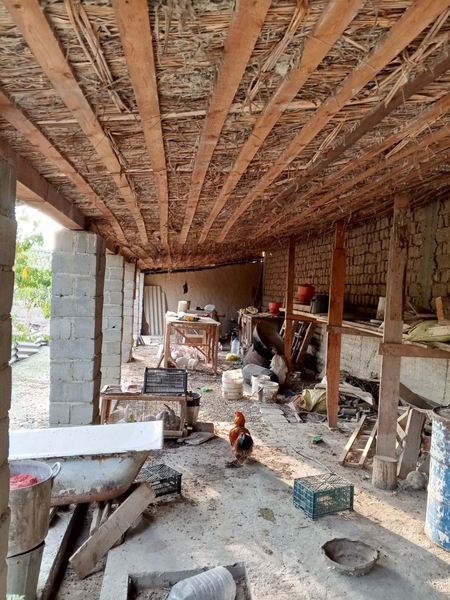 Hovli sotiladi 8 sotiq