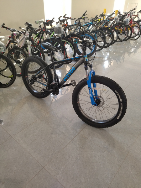 ВЕЛОСИПЕД FAT BIKE / Fittoo (Made in Japan)  Новое в коробке!