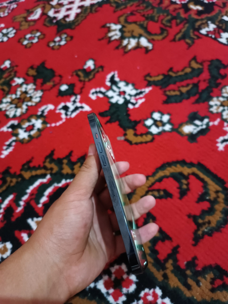 Iphone 12pro Max