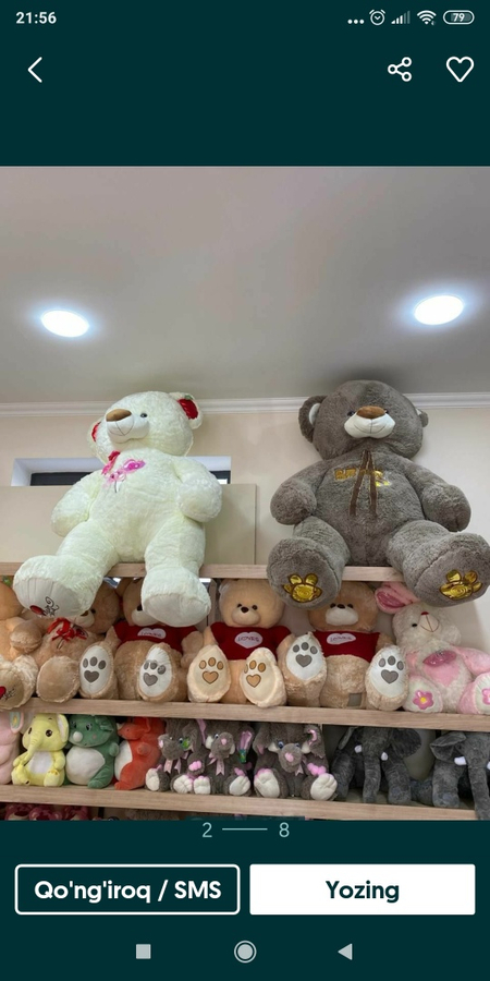Teddi Tedi Teddiy