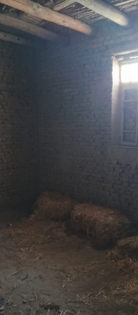 Xivada уй сотилади 800 м2