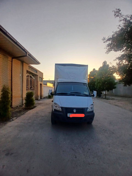Gazil holati zur alo