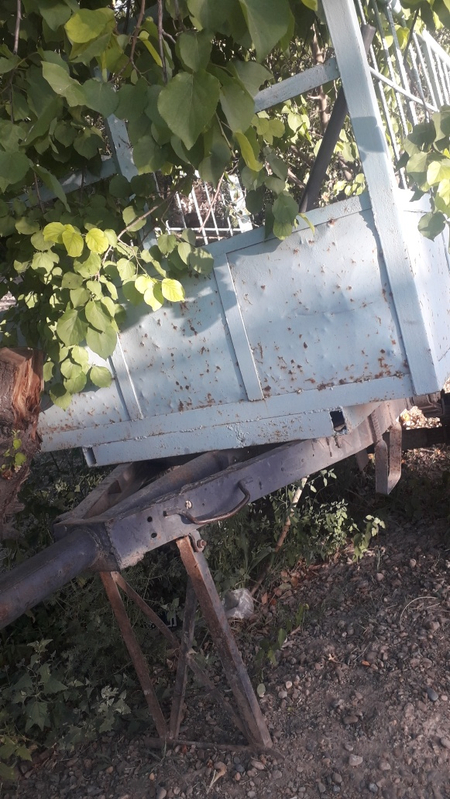 Telechka va bo‘chka