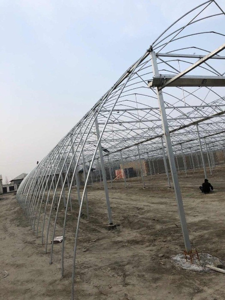Китайская Теплица. Xitoy issiqxona. Langchin Greenhouse