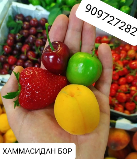 Довча  100 гр 40000