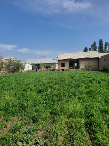 Hovli uy sotiladi Bekobod shahridan 5km uzoqlikda.