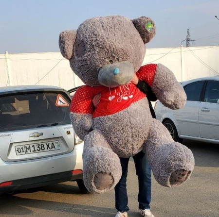 Teddy Тедди  Yumshoq oyinchoqlar