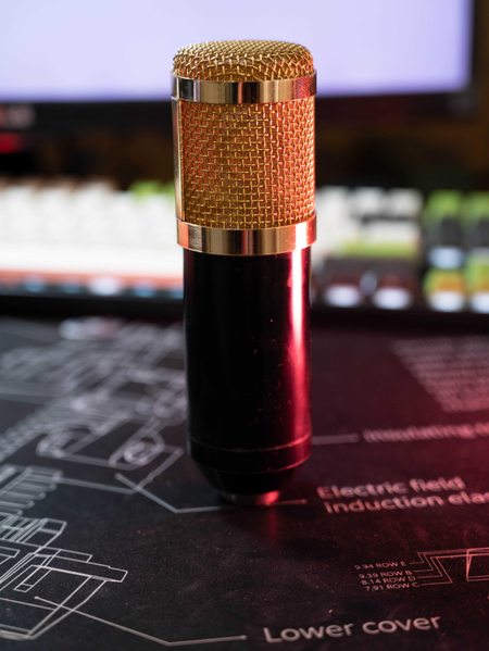 микрофон bm 800 xlr