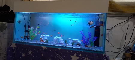 Zakazga akvarium yasimiza oynadan